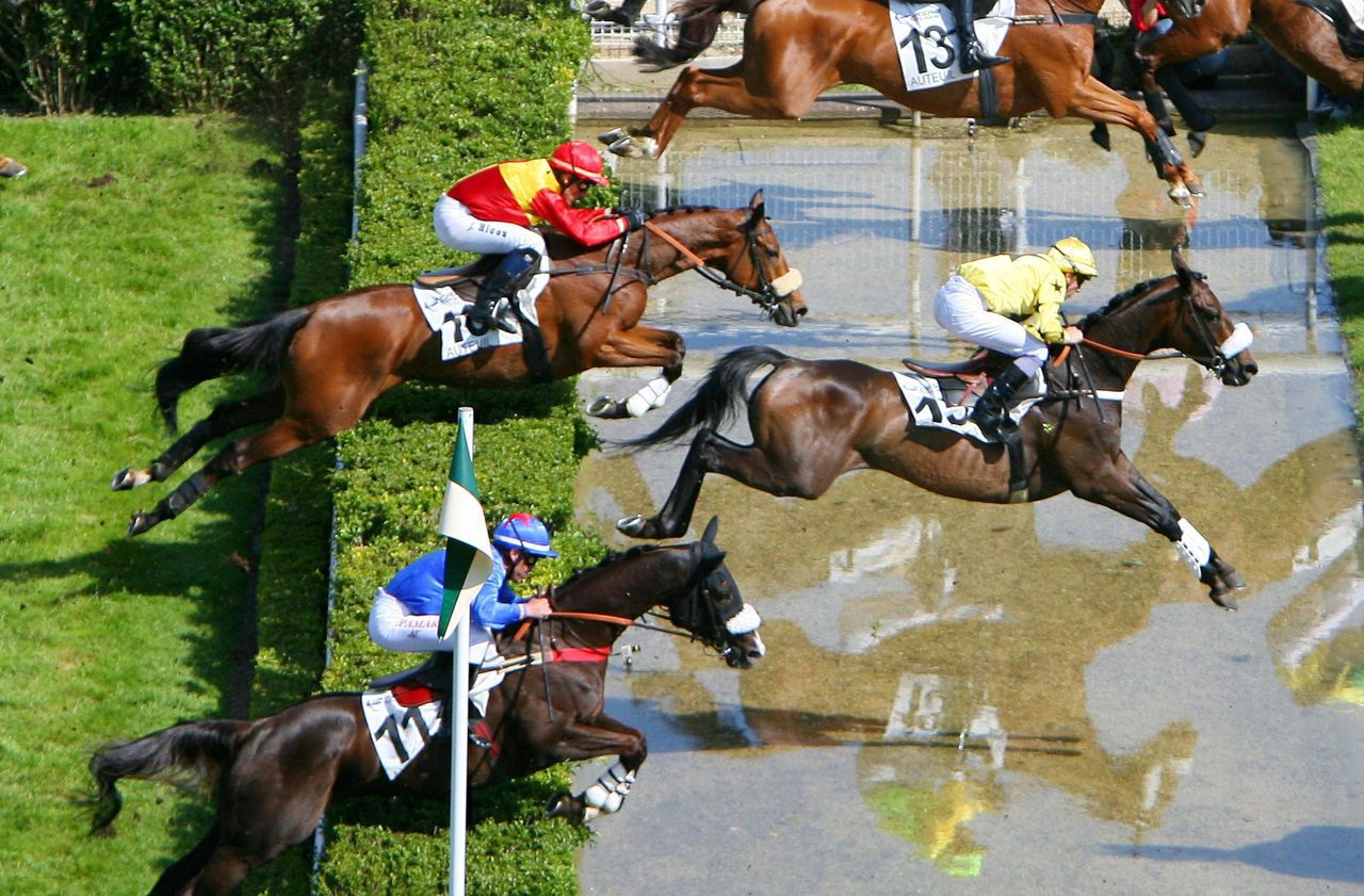 Sortir à Paris : aux courses d’obstacles en famille et… au galop ! - Le ...