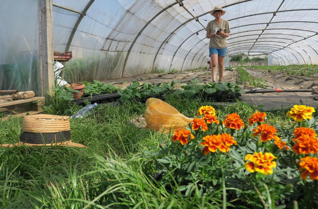 Vitry : la terre du parc des Lilas est (aussi) la vôtre - Le Parisien