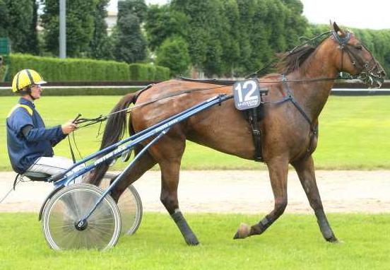 Alienor encore une fois - Le Parisien