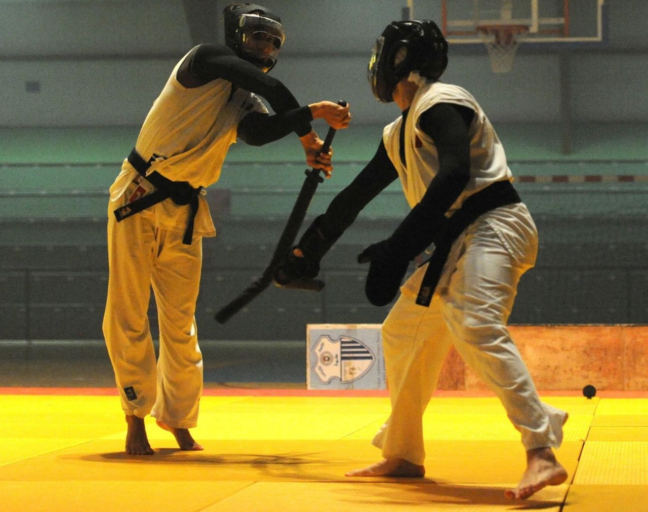 Les samouraïs débarquent - Le Parisien