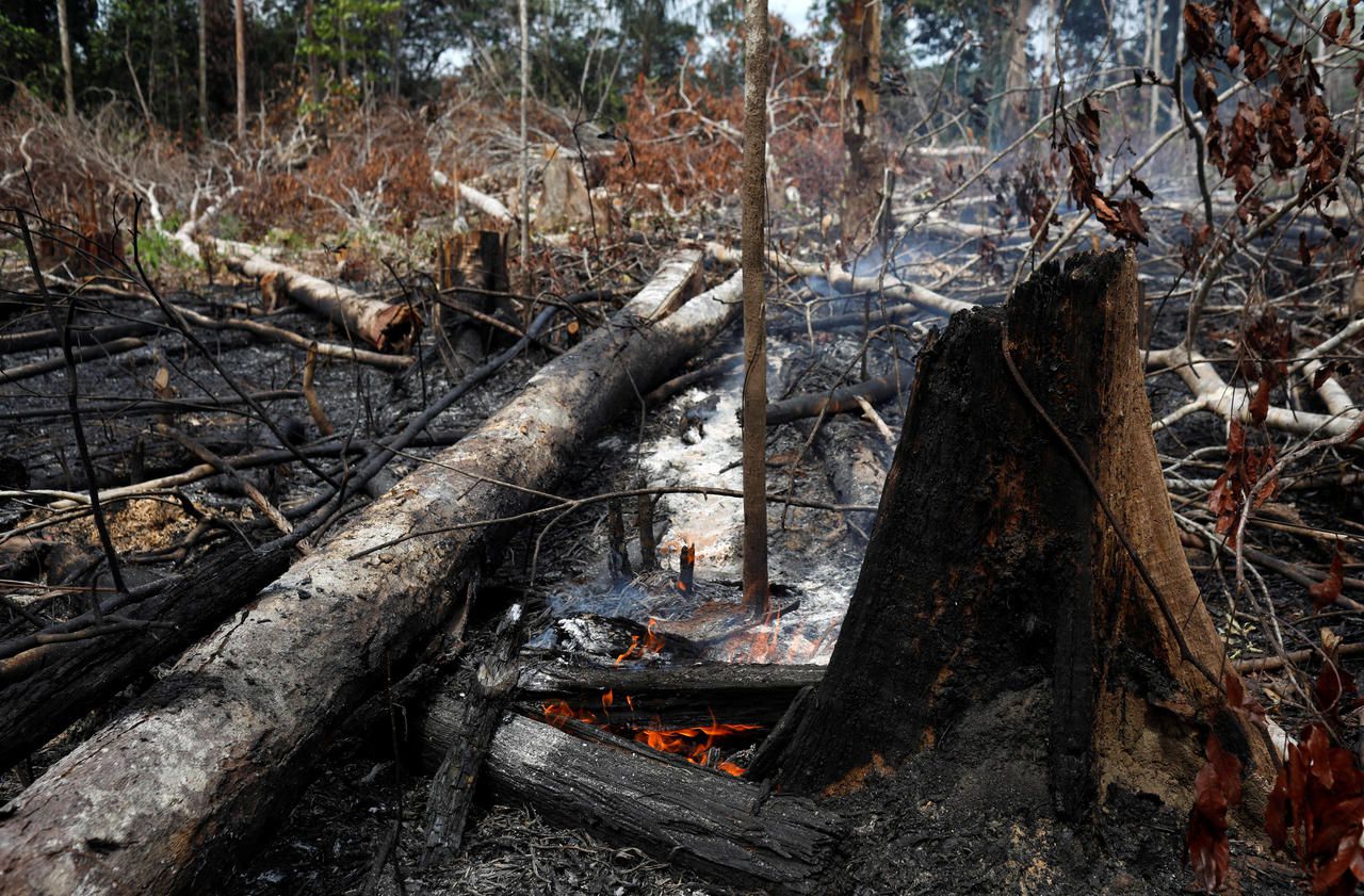 Énormes incendies en Amazonie : quelles conséquences pour la planète ...