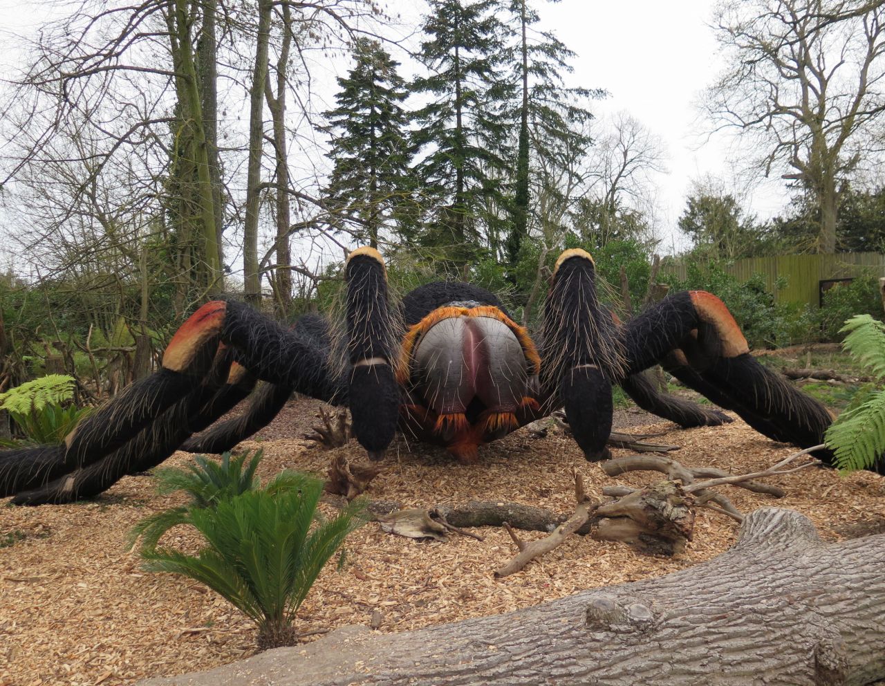 Invasion d'insectes géants - Le Parisien