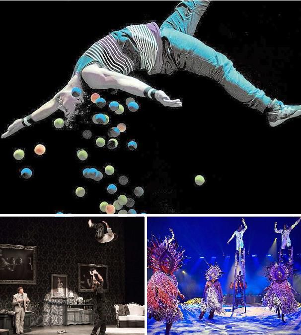 Tous aux cirques ! - Le Parisien