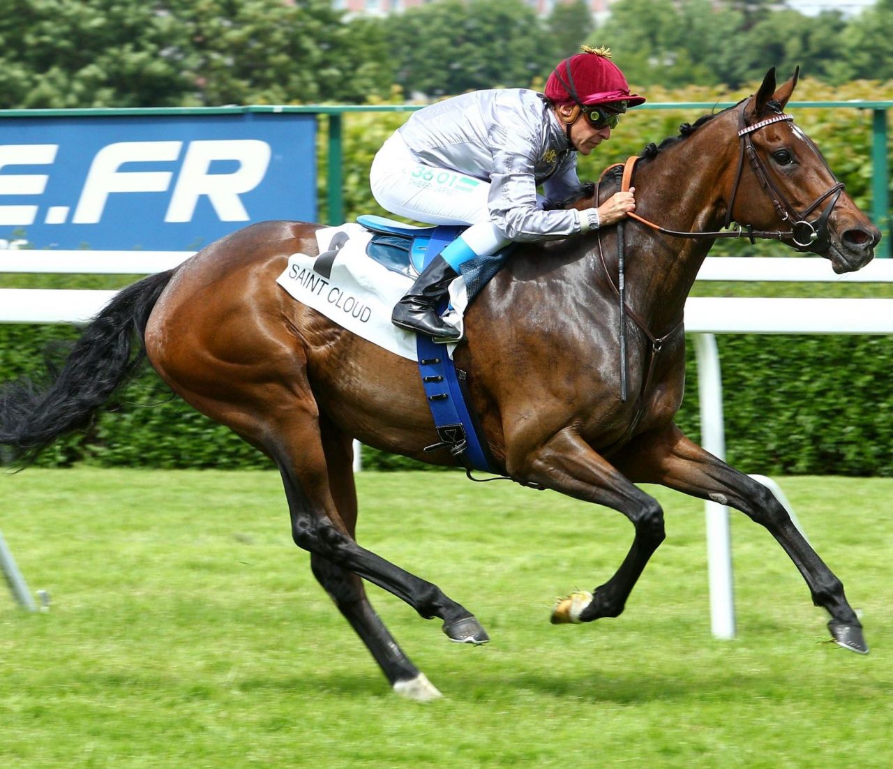 Trêve en démonstration - Le Parisien