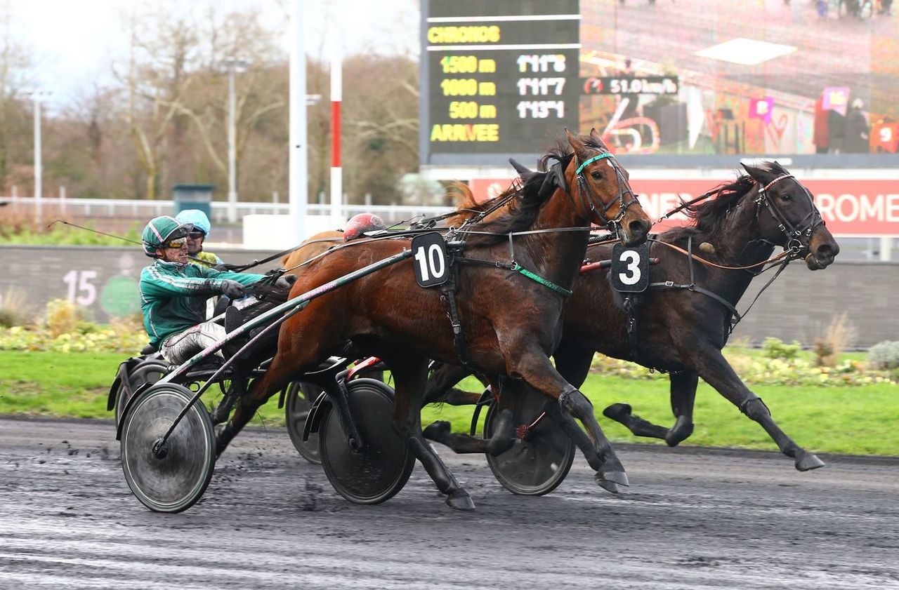 Quinté à Vincennes Notre Favorite S Impose à 9 1 Le Parisien