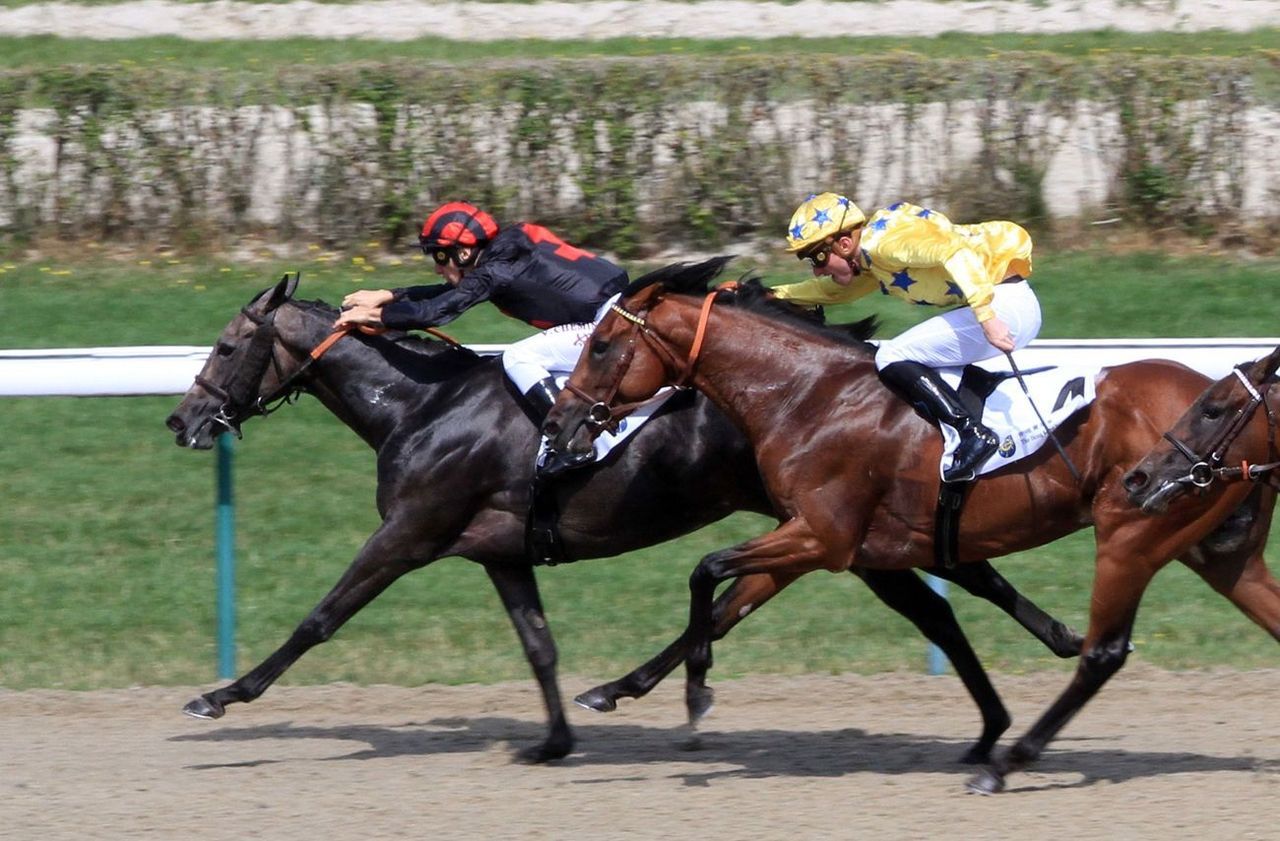 Pmu Arrivée Du Quinté Du 15 Août à Deauville Notre Dernière Minute