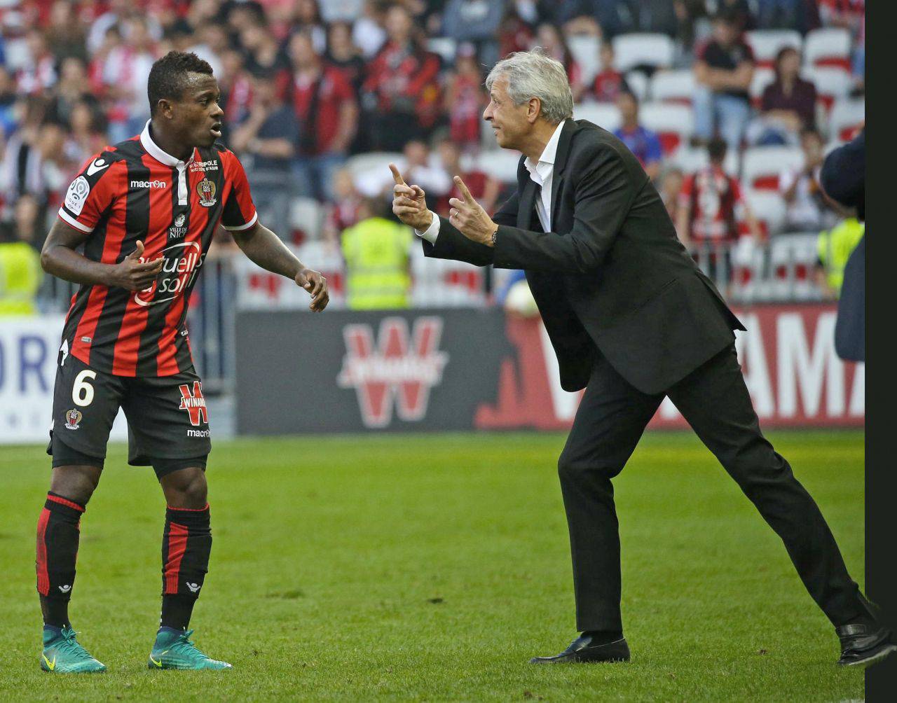 Pourquoi ils sont tous fans de Favre - Le Parisien