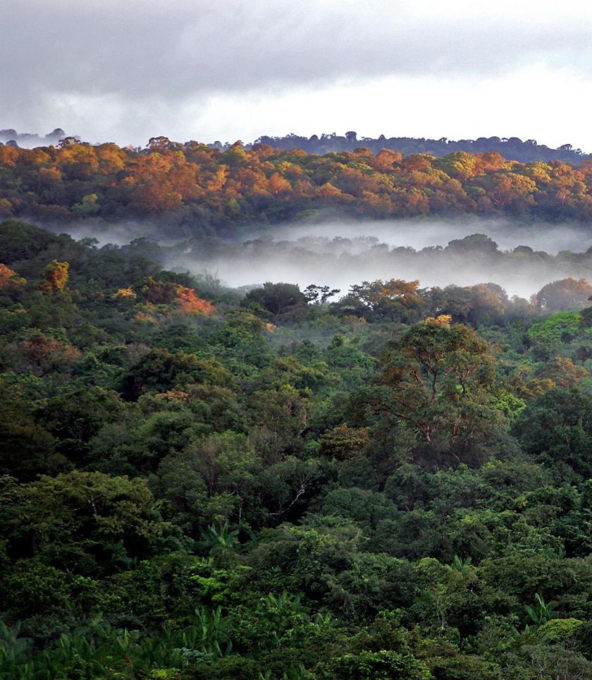 La France des records : la Guyane, grande comme une région - Le Parisien