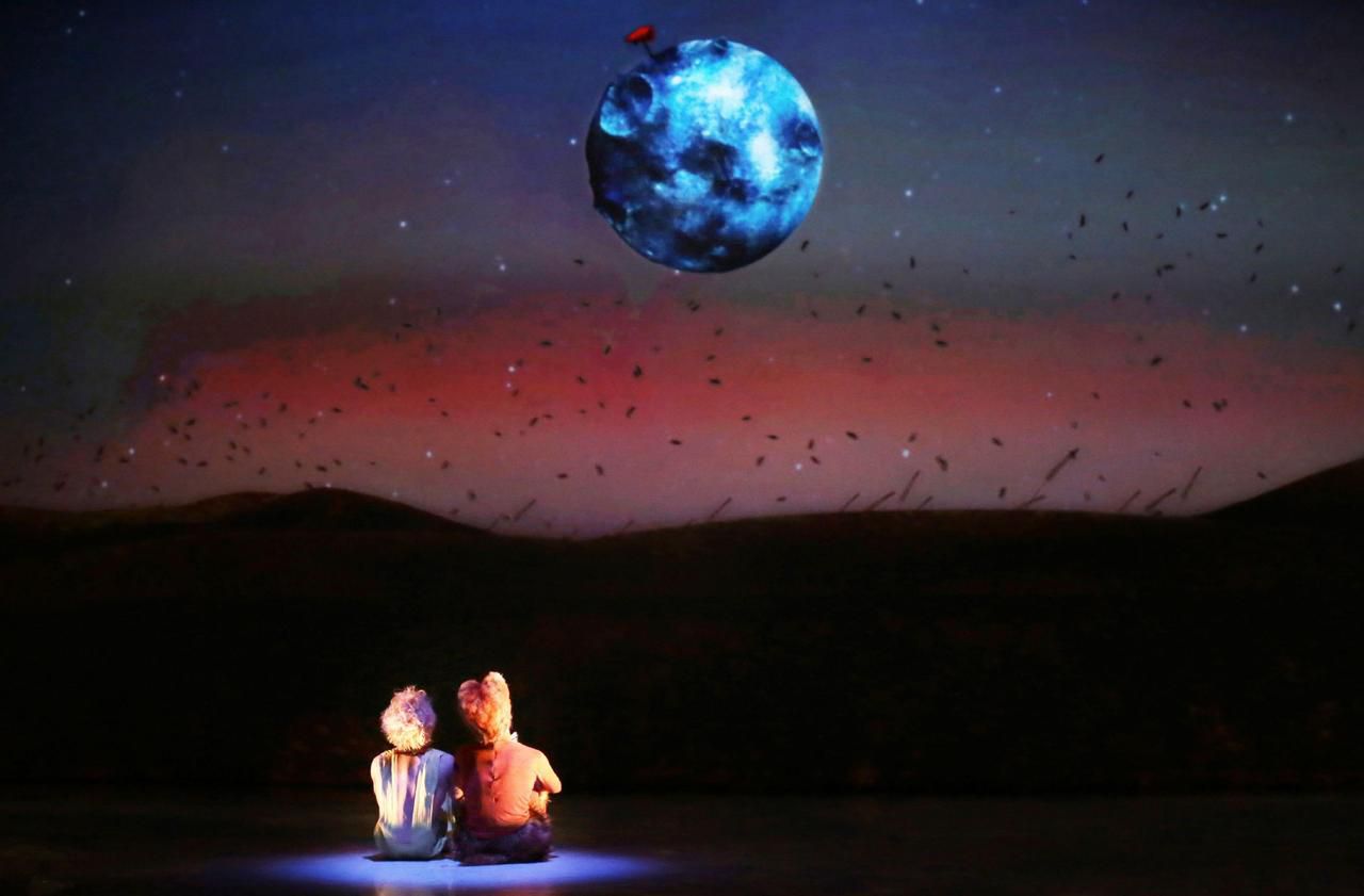 Comédie musicale : un « Petit Prince » de haute volée - Le Parisien